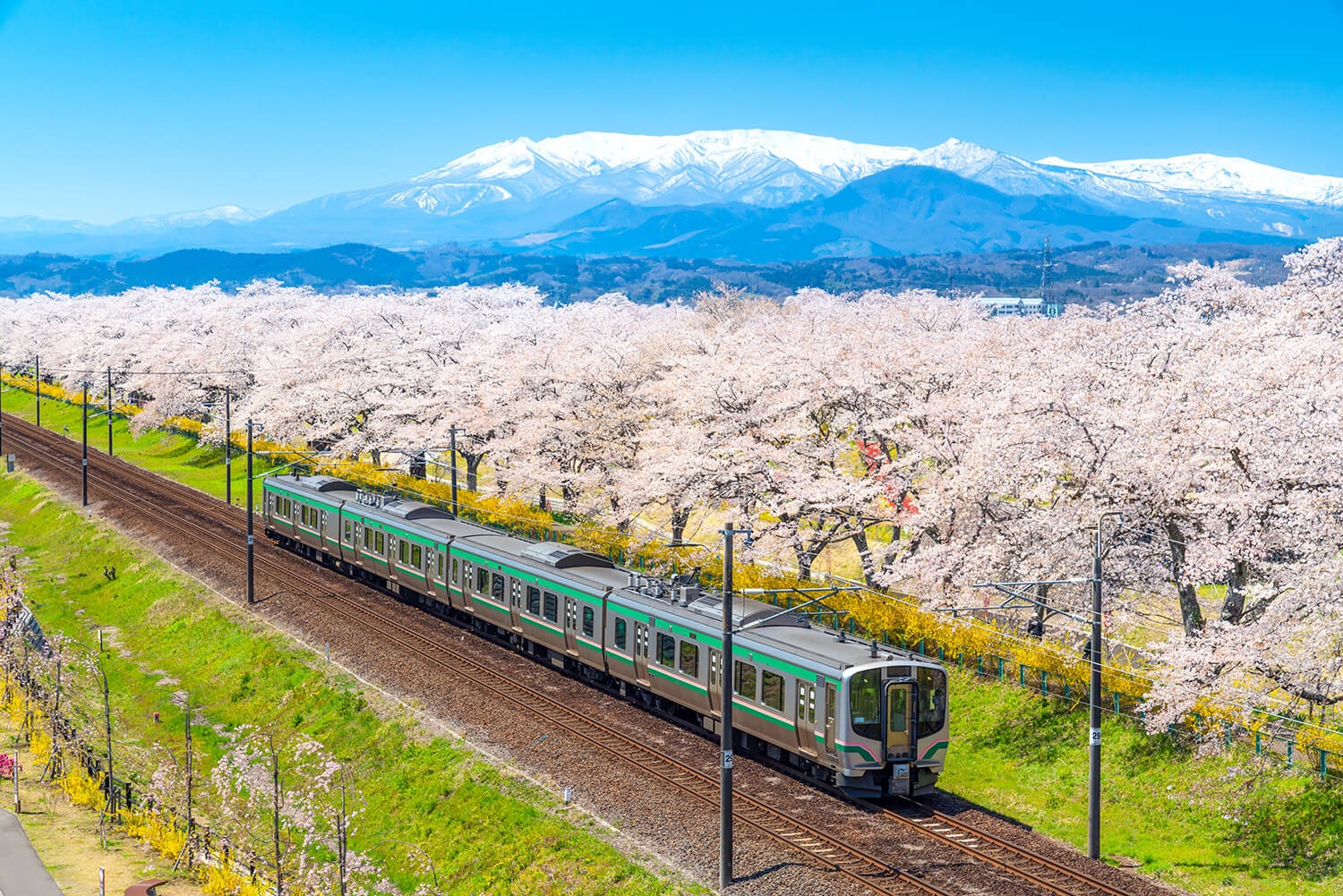 Experience Japan: 60% Off JR East Shinkansen Tickets This June