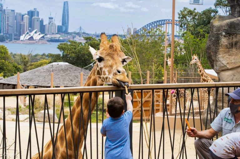 Taronga Zoo Sydney : Ultimate Visitor Guide 2026