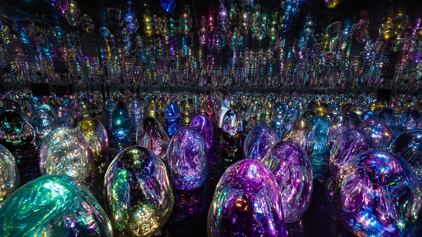 teamLab Phenomena Abu Dhabi vs teamLab Tokyo Guide