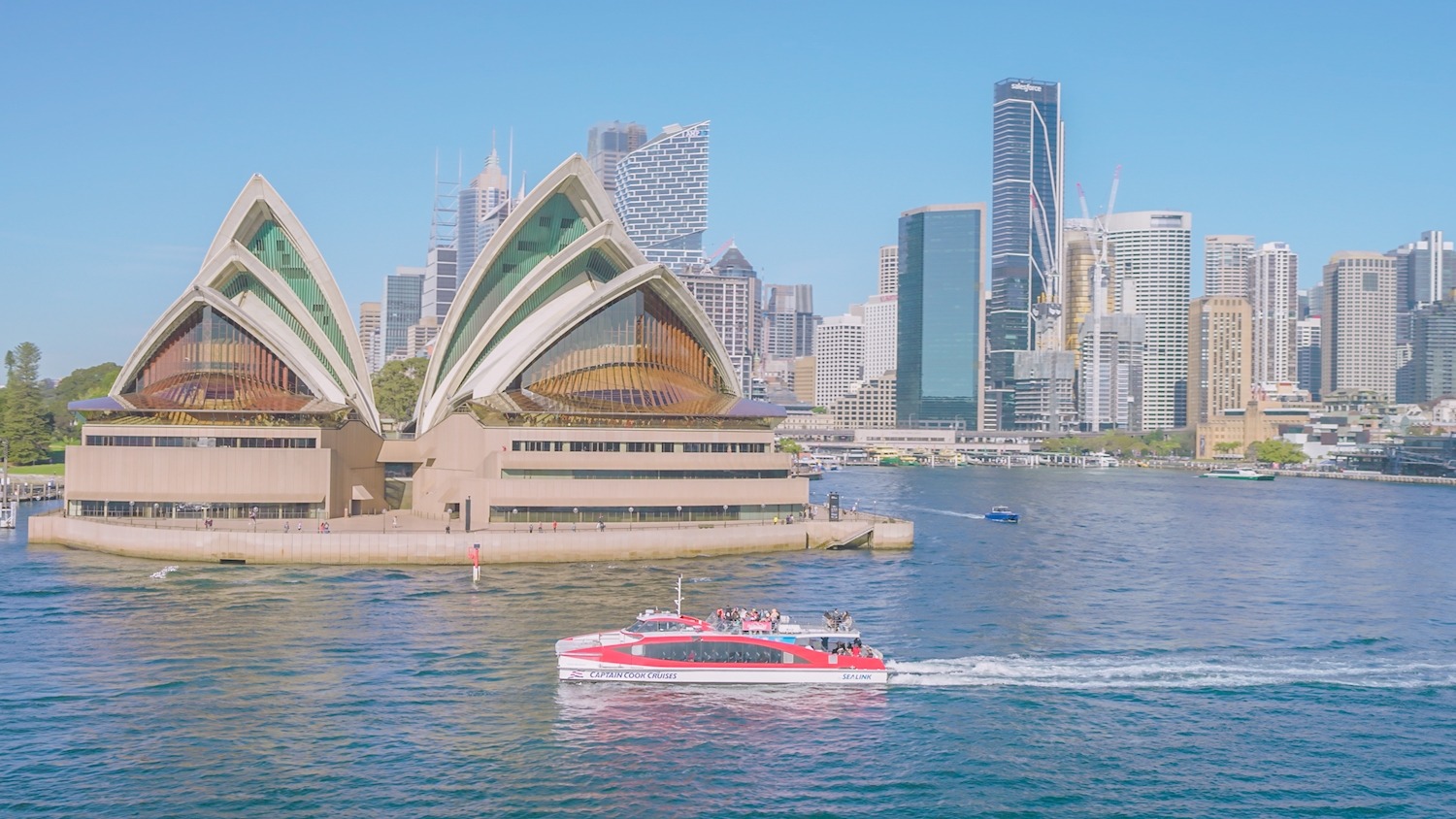 Planning Your Taronga Zoo Visit: Ferry, Parking & What to Bring