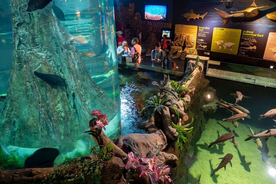 Aquaria KLCC Ticket: Your Complete Booking Guide (2026)
